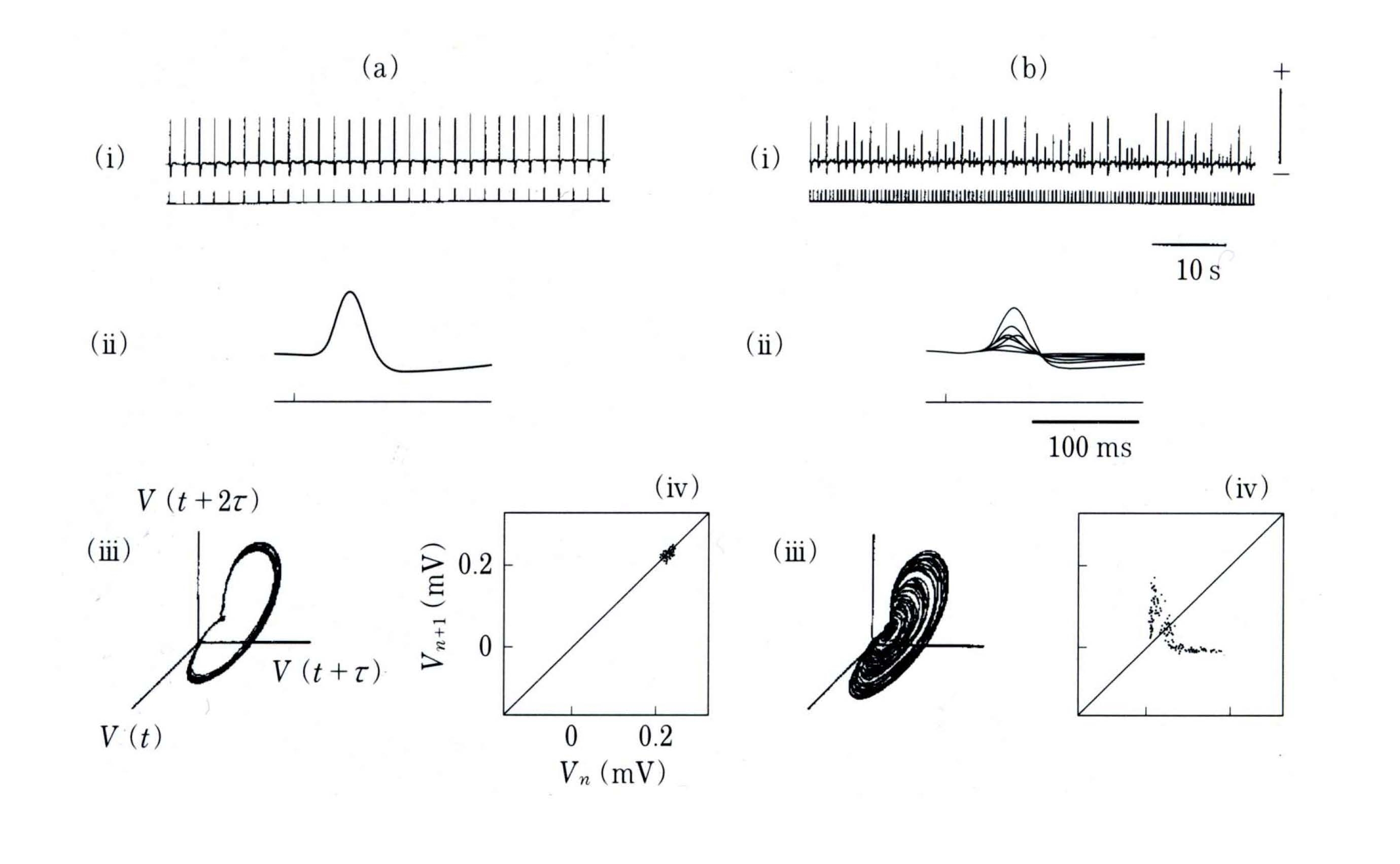 Dynamic Brain Platform - Official Site